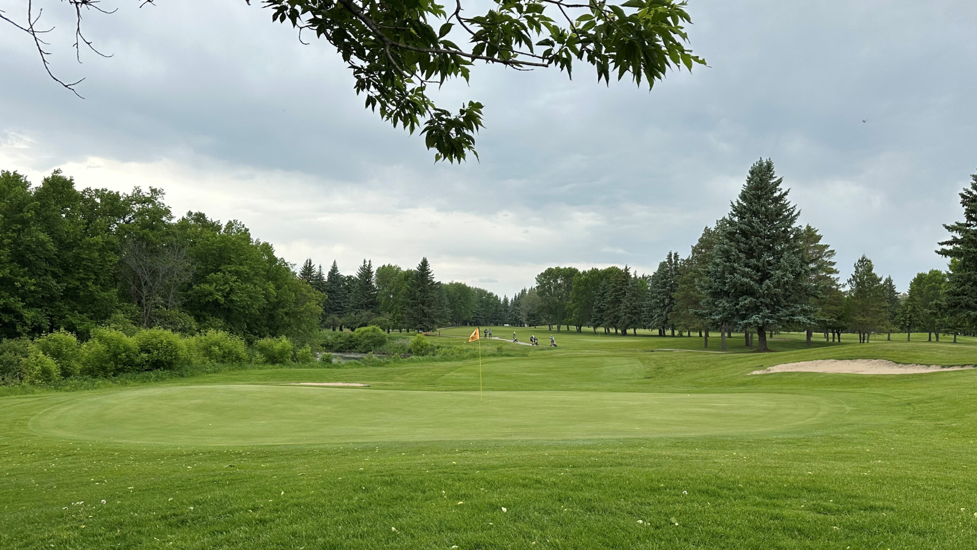 RESULTS | Opening round of the All Abilities, U15 and Women’s City ...